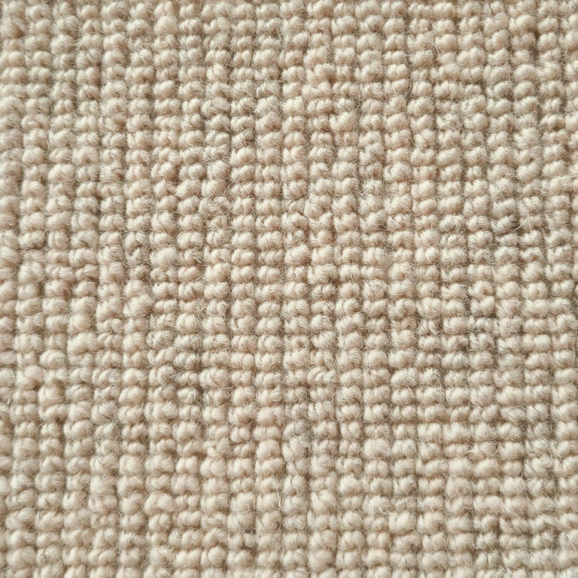 Stocked Broadloom – Colin Campbell